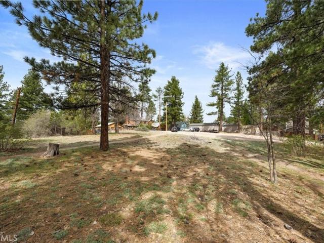 40111 Big Bear Boulevard