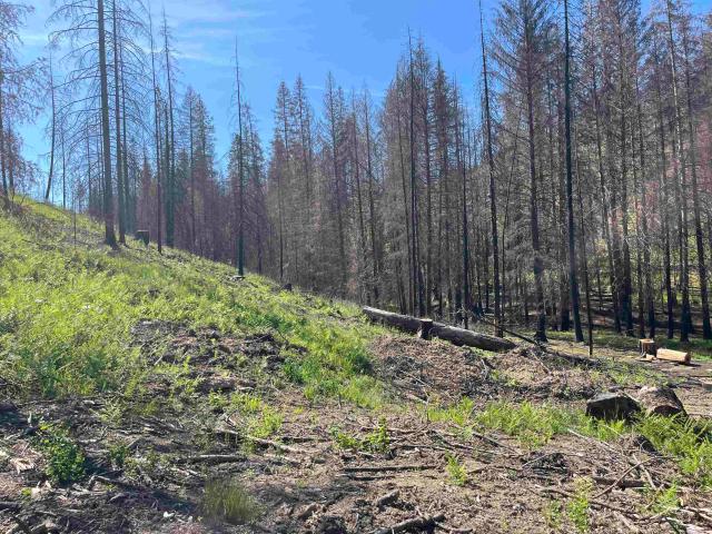 40114 N Jackson Rd, Elk, WA 99009 | MLS #202511