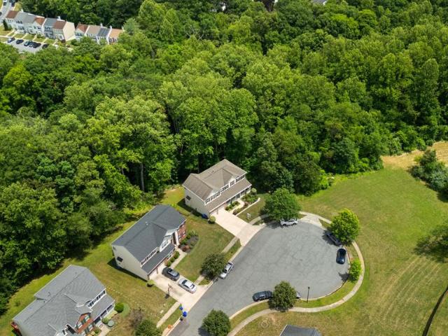 4012 Cotton Tree Lane