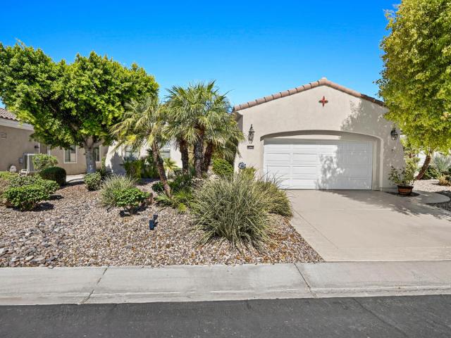 40139 Calle Mandrina