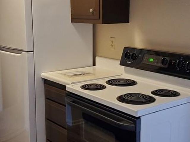 401 7th St S 2 Bedroom Apartment for Rent at 401 7th St S, Waite Park, MN 56387