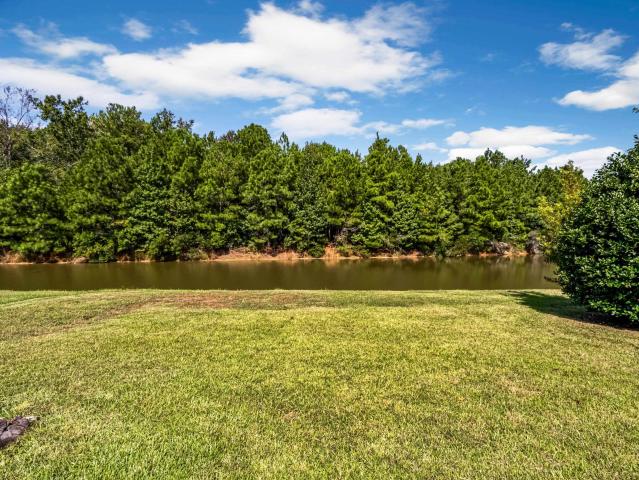 401 Barton Loop