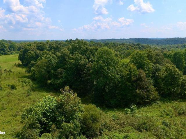 401 Fox Run Rd