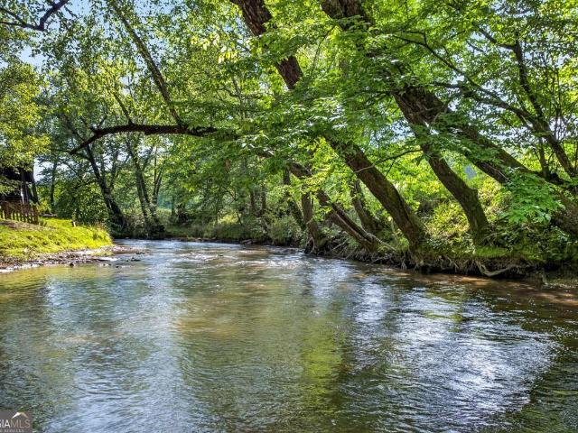 401 Mountain Rivers Road