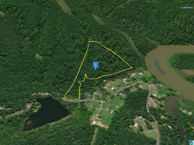 401 Rainwood Lodge Road #