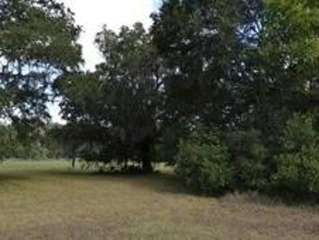 401 Rancho Chico Trail