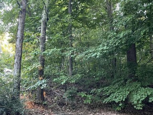 4024 Eagles Nest Dr, Morristown, TN 37813