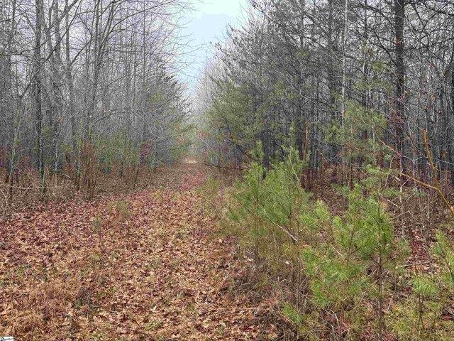 4024 Highway 414 1 Acres, Landrum, SC 29356