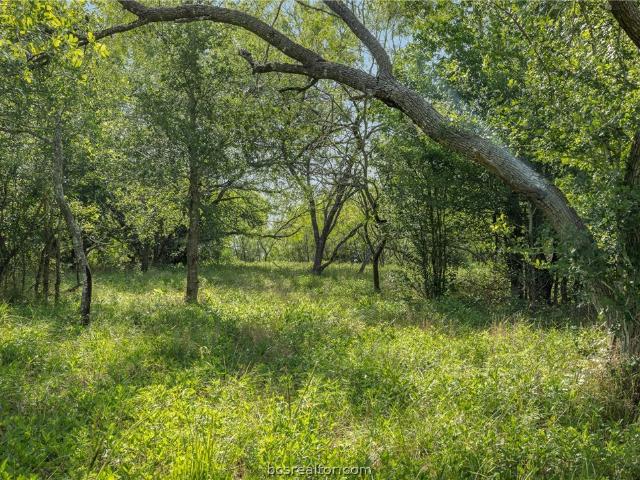4024 Hollow Court