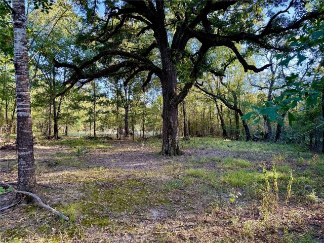 4025 County Road 4025, Crockett, TX 75835 | MLS #4485