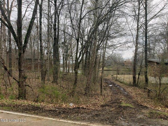 4025 Windermere Dr Lot 342, Nesbit, MS 38651