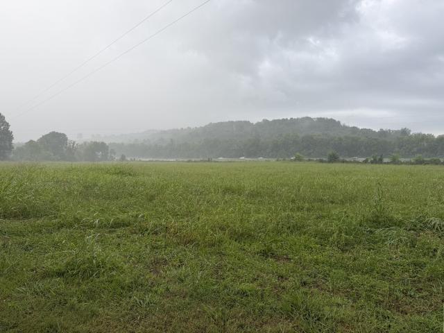 4027 Panhandle Rd
