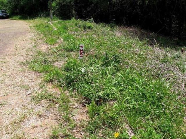 402954 Terreno Cantegril
