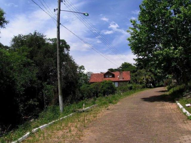 402964 Terreno em Viamão