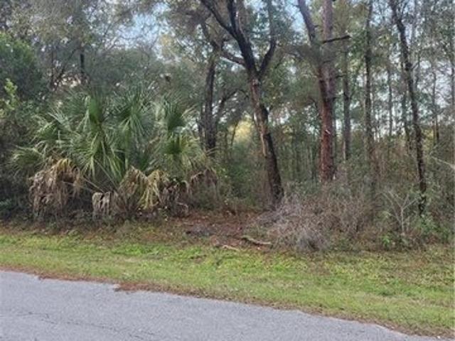 4029 E Walker St, Inverness, FL 34453