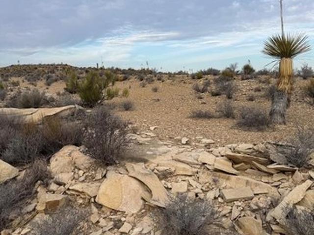 4029 Fort Clark Dr, Terlingua, TX 79852