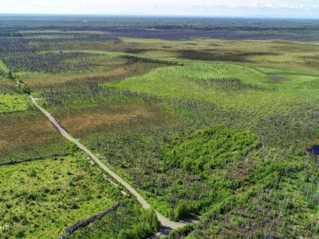40207 W Krantz Rd, Willow, AK 99688