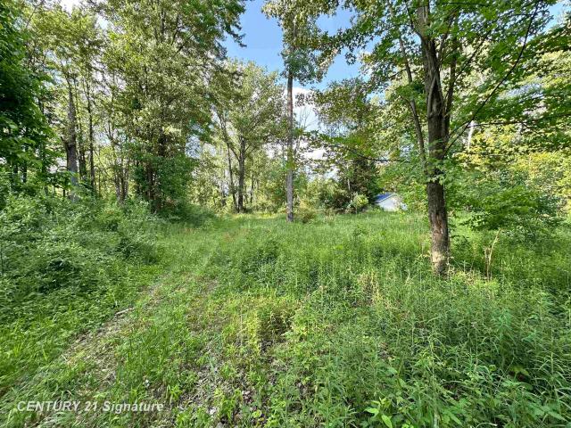 4020 Wieman Road