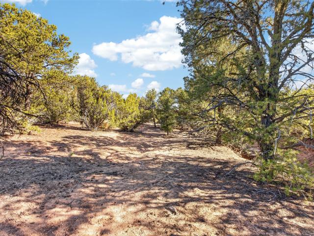 4021 Via Verdi, Lot 228