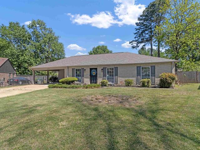 4022 chinaberry cv