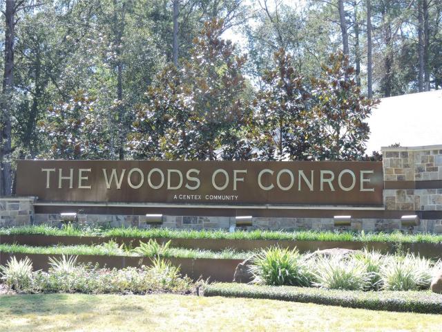 4022 Timber Sapp Drive, Conroe, US, TX