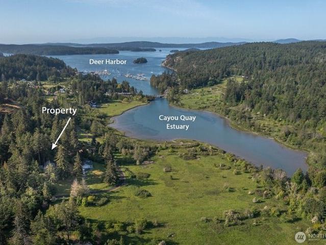 402 Cayou Valley Rd, Orcas Island, WA 98224