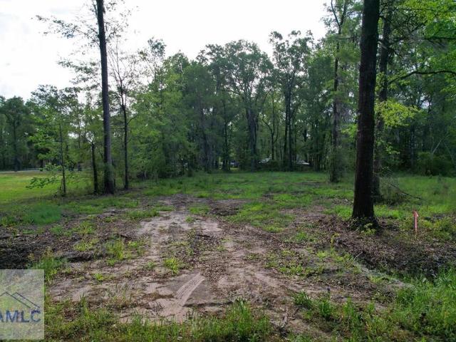 402 Altamaha Park Road