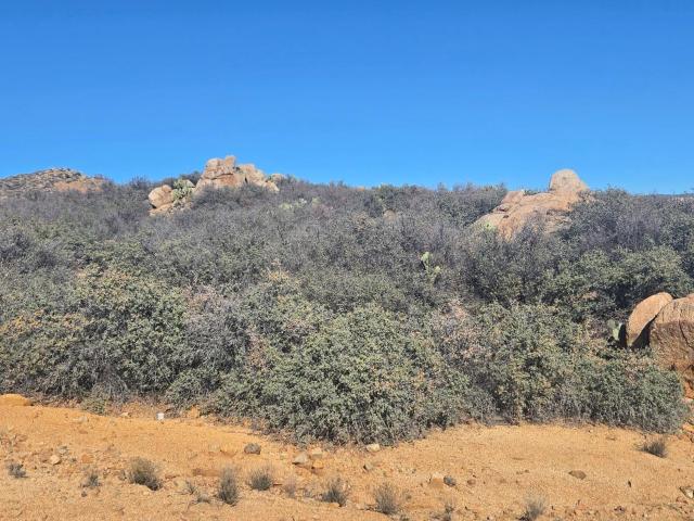 402 E D E Raider Way, Unit 6, Dewey, AZ 86327 | MLS #6960 | Compass