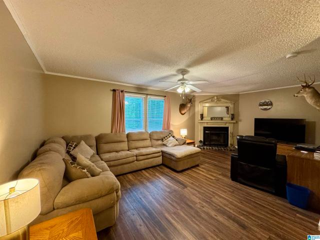 402 Mountain Drive