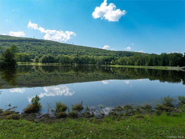 402 Mountain Laurel Drive