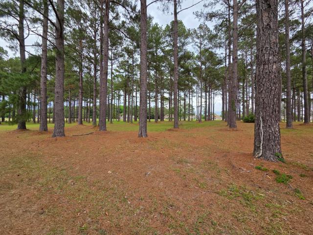 402 Pinelake Court