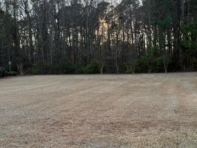 402 Tryon Drive