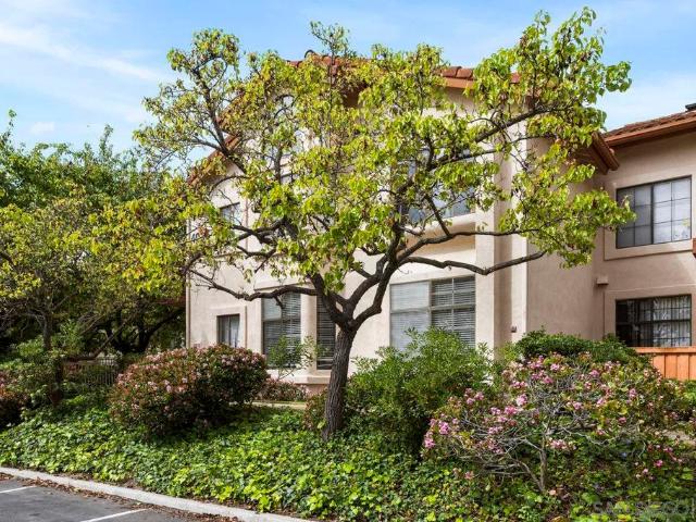 4035 Carmel View Road 117