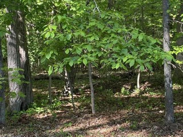 4035 Kila Dr, Crossville, TN 38572