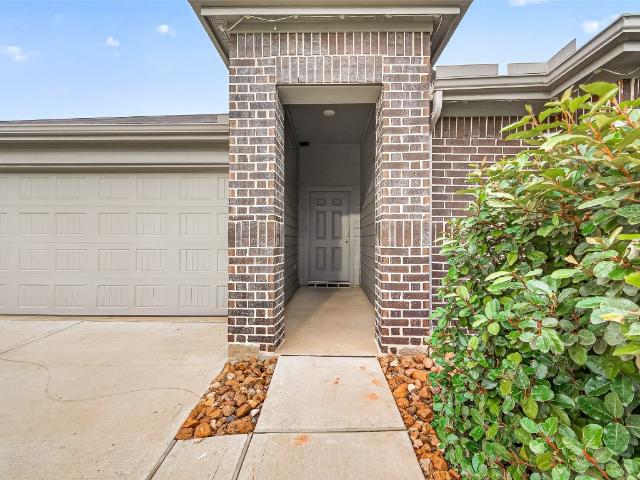 40310 Bermuda Ivy Street