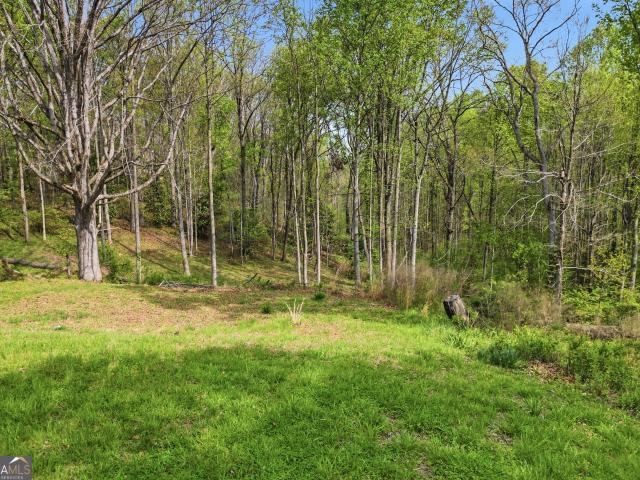 4031 Old Cornelia Highway