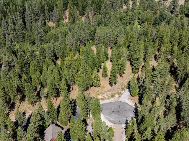 403 Big Grizzly, Portola, CA 96122 | MLS #20250