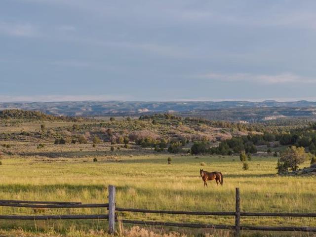 403 Mineral Spring Rd, Mount Carmel, UT 84755