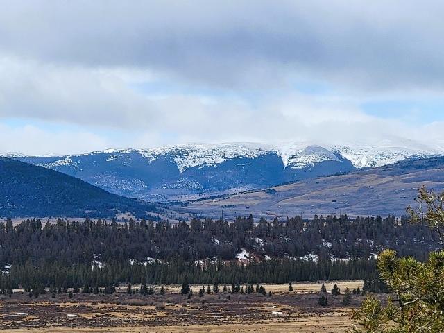 403 Redhill Rd, Fairplay, CO 80440 | MLS #S1065