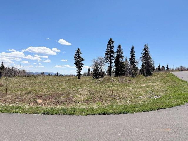 403 W Blue Spruce Dr, Virgin, UT 84779