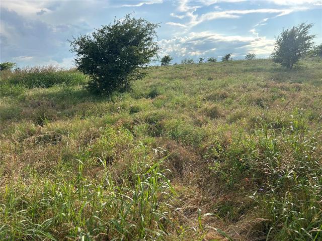 4045 Mirelle Dr, Aledo, TX 76008 | MLS #21089