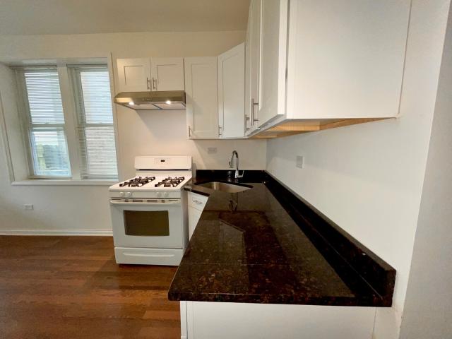 4045 S Richmond St, Unit 1, Chicago, IL 60632 | Compass