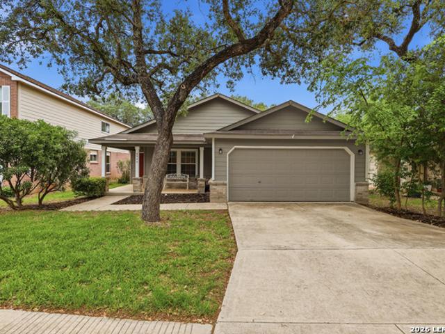 4046 Azalea Breeze