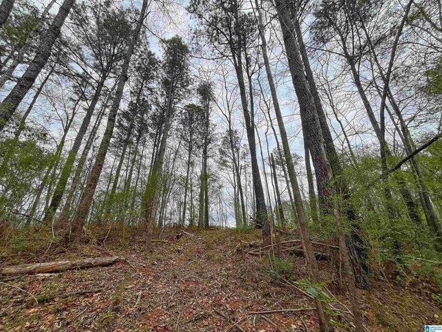4040 Pine St Lot 4040, Birmingham, AL 35210