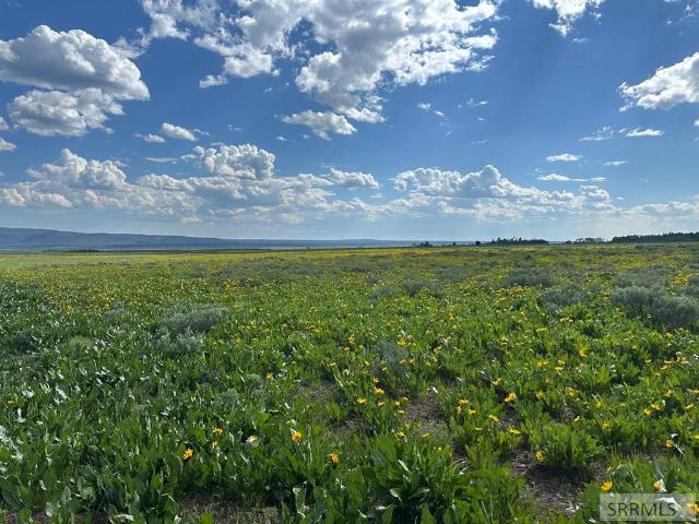 4042 Brooks Blaze Ln, Island Park, ID 83429 | MLS #2185