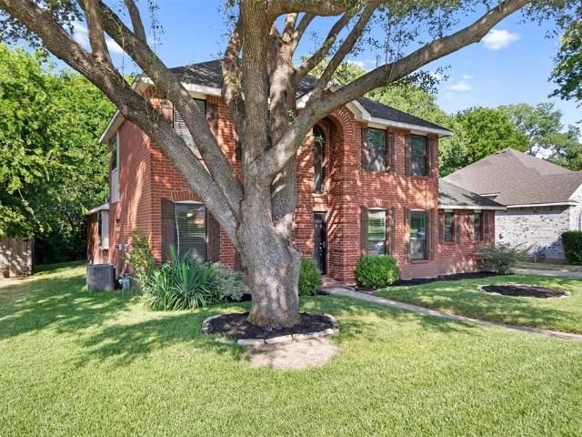 404 Lemontree Lane