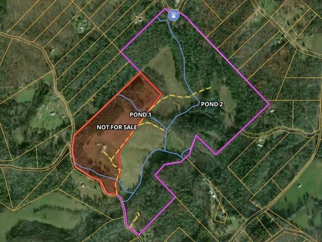 404 Luminary Firetower Rd, Spring City, TN 37381