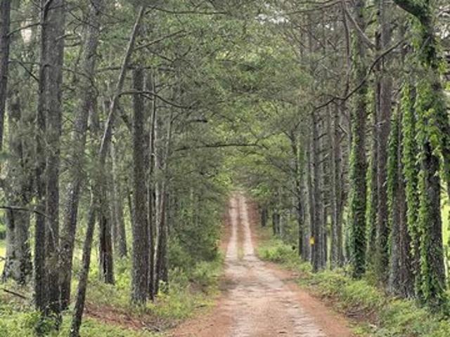 404 Mount Moriah Rd, Bonnerdale, AR 71933
