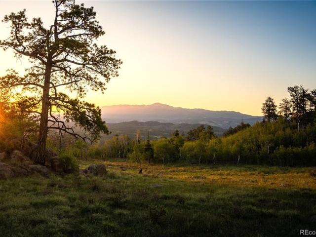 404 Valley Dr, Florissant, CO 80816