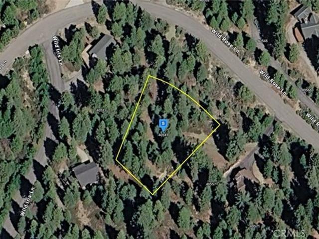 40541 Wild Rose, Shaver Lake, CA 93664